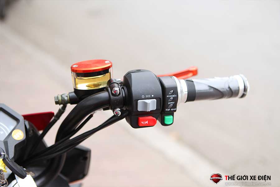 Xe điện Xmen Gianya liên doanh