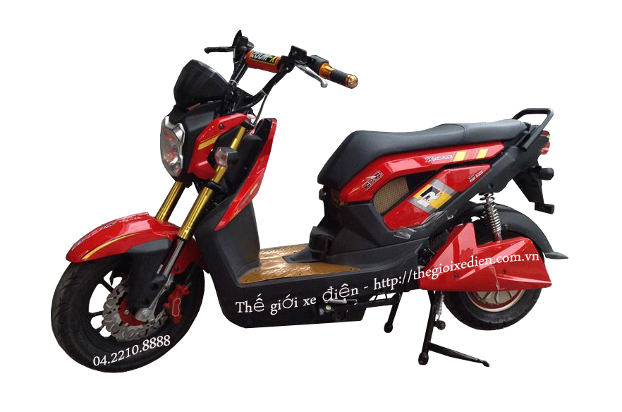 XE ĐIỆN ZOOMER X5 - 2014